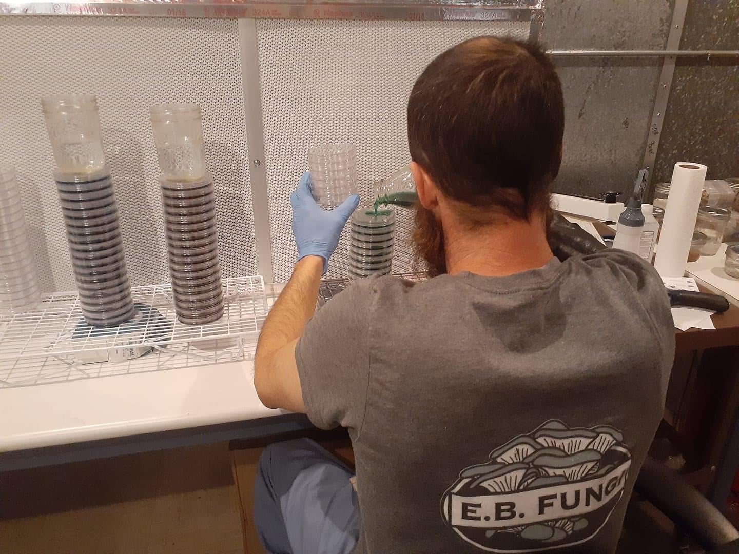 Introduction to Gourmet Mushroom Cultivation Lab Work | E.B.Fungi llc